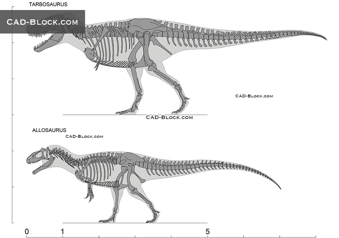 Dinosaur CAD Block 2D DWG Models Dinosaur CAD Block 2D DWG Models
